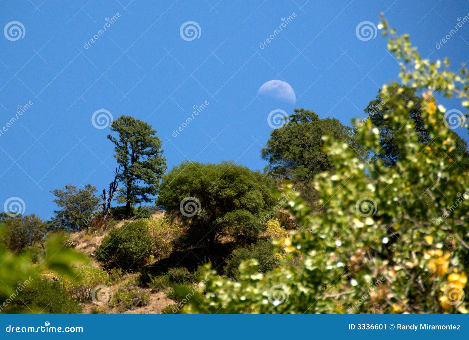 Moon Over Hill stock image. Image of hill, trees, mountain - 3336601