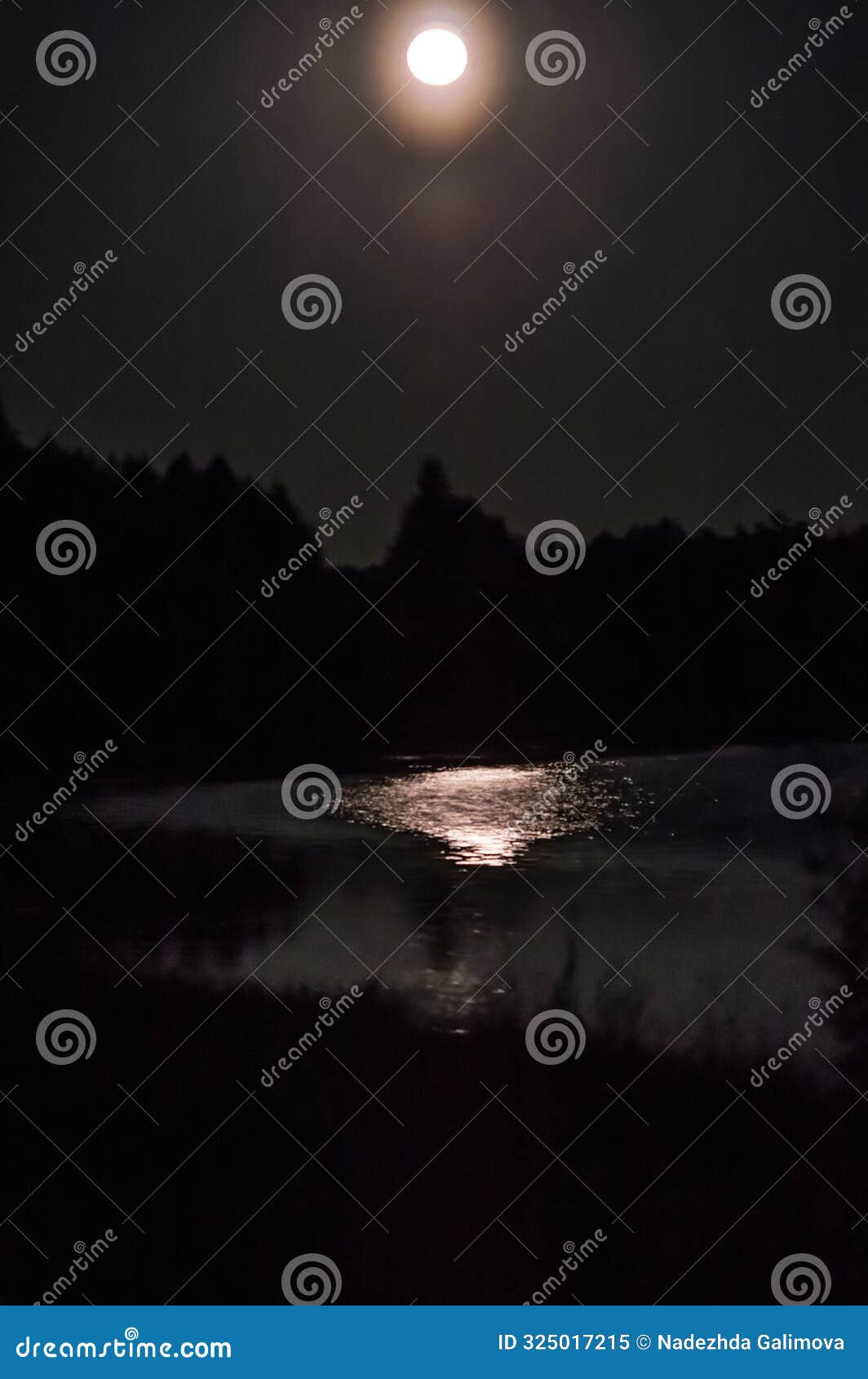 Moon Over the Lake in the Forest at Night with Reflection in Water ...