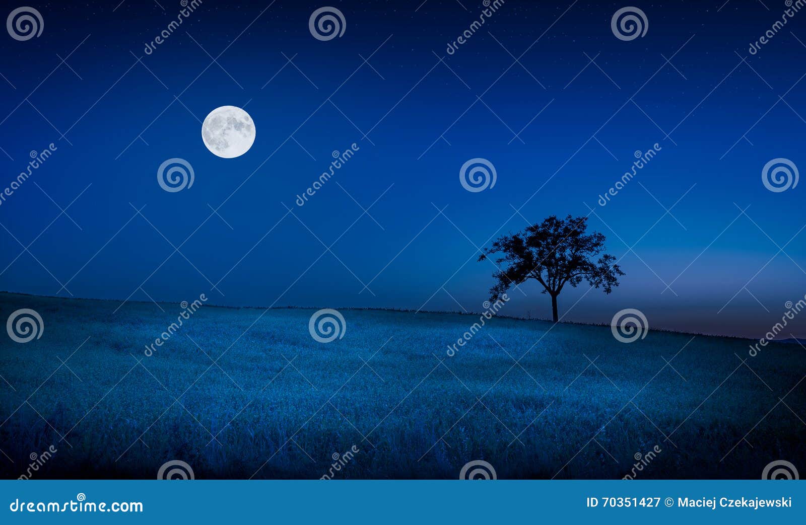 Moon over a meadow stock image. Image of rural, black - 70351427