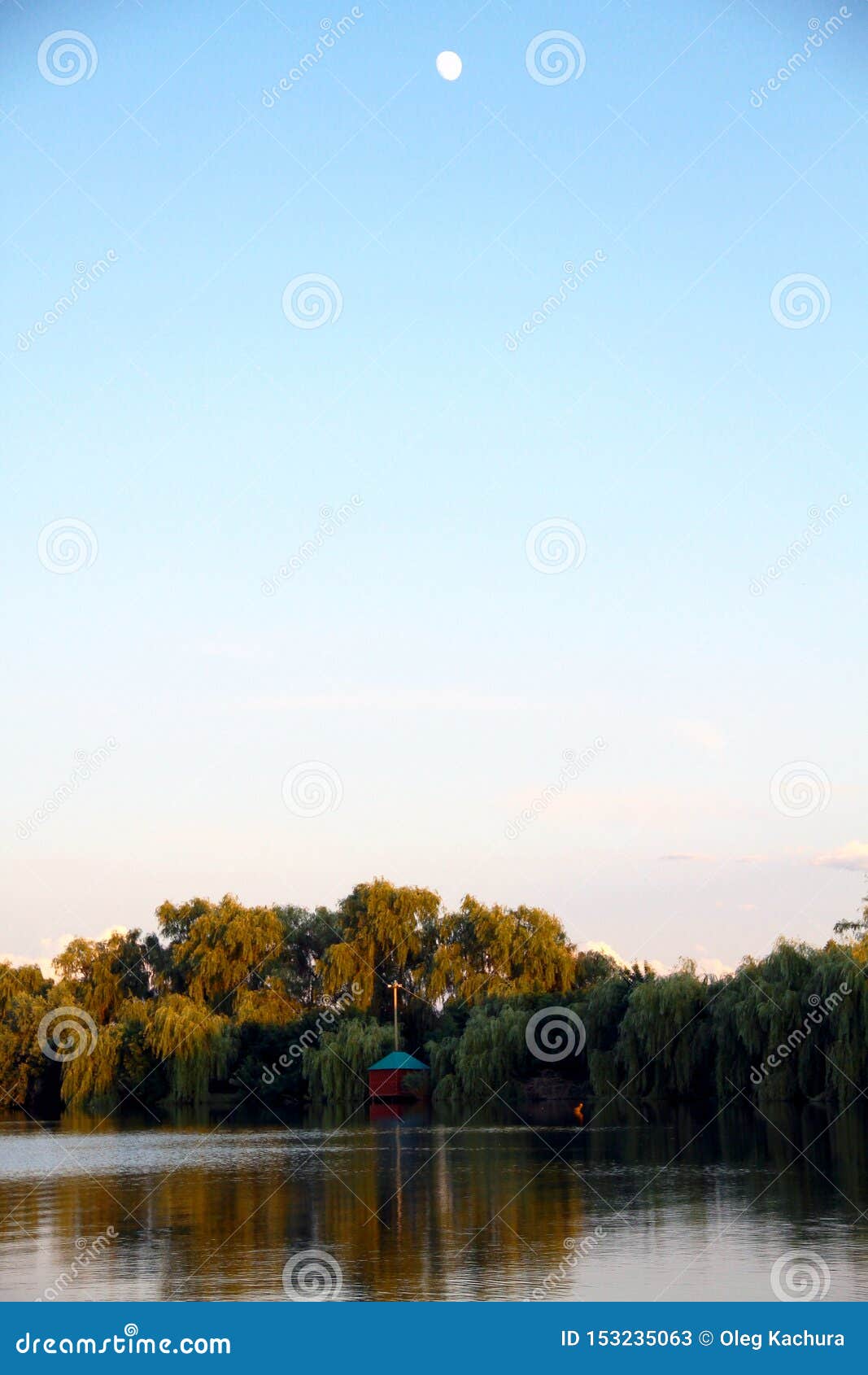 Moon Over Picturesque Pond in the Evening Stock Image - Image of ...