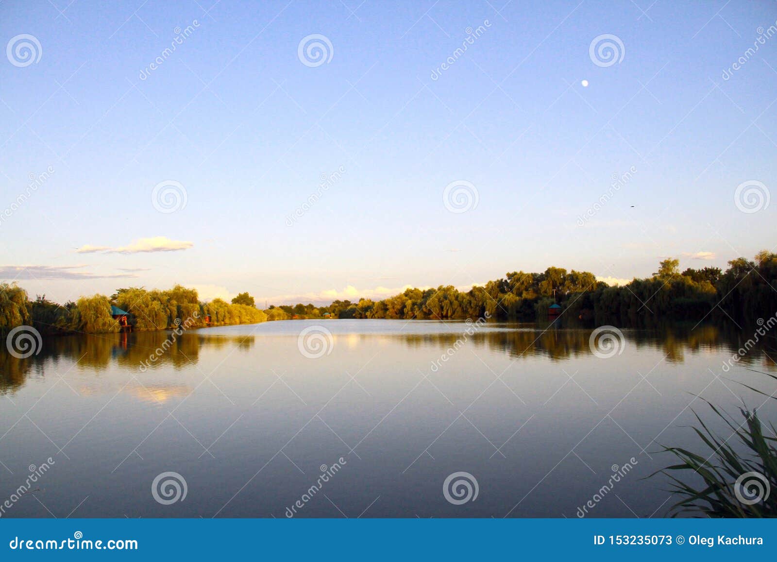 Moon Over Picturesque Pond in the Evening Stock Image - Image of ...