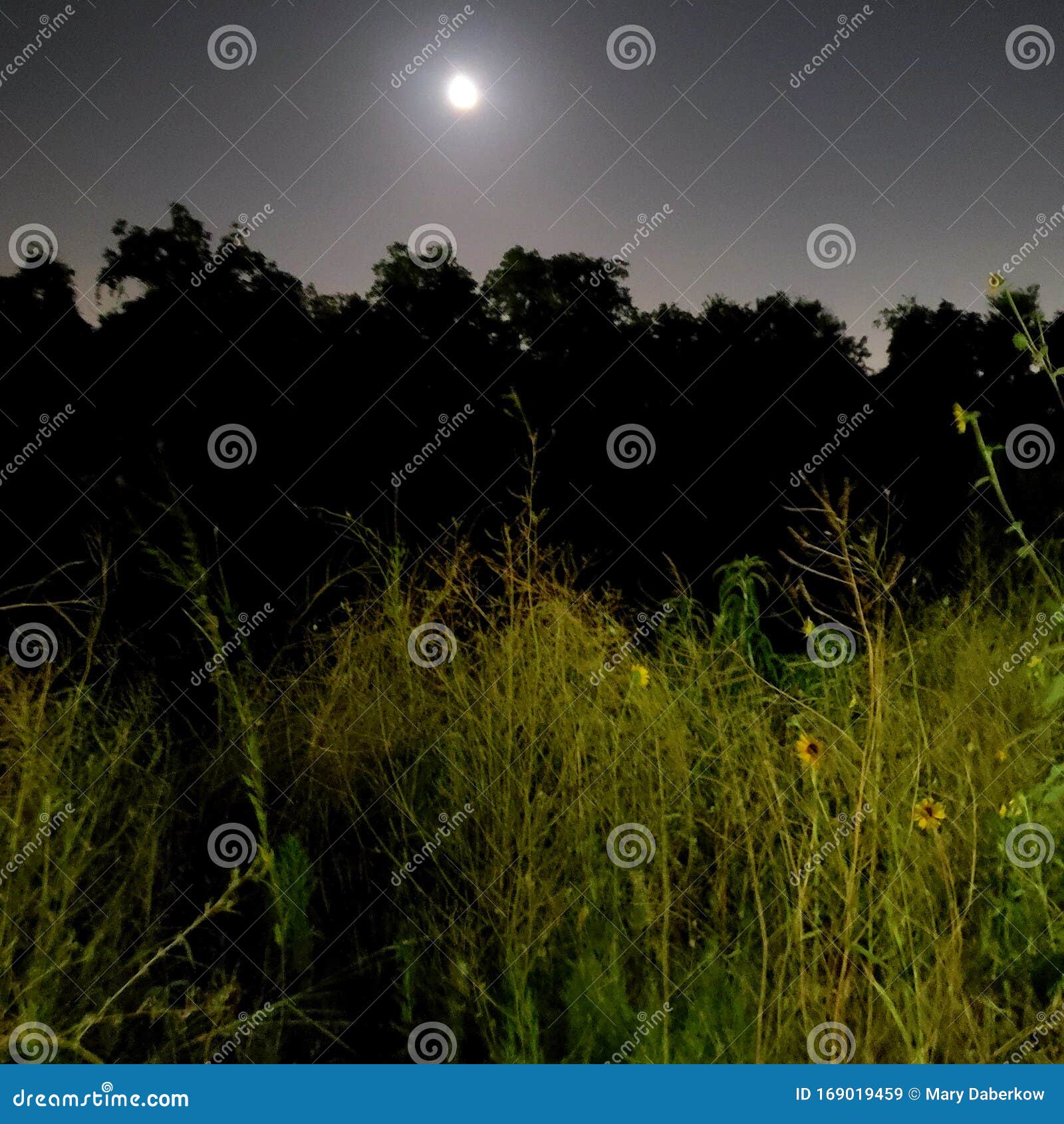 Moon over rural field stock image. Image of quiet, rural - 169019459