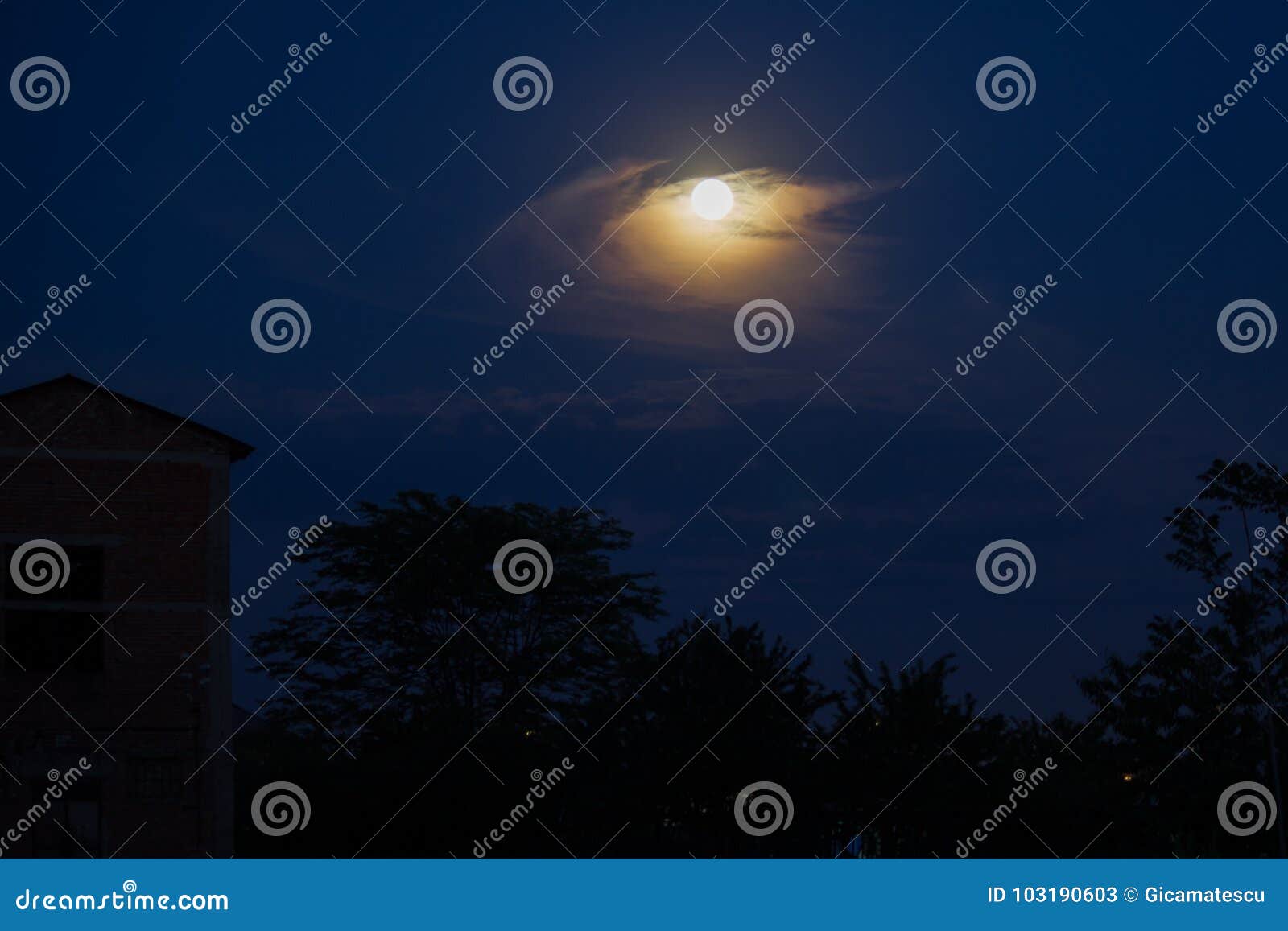 Moon over trees stock image. Image of face, nature, moon - 103190603