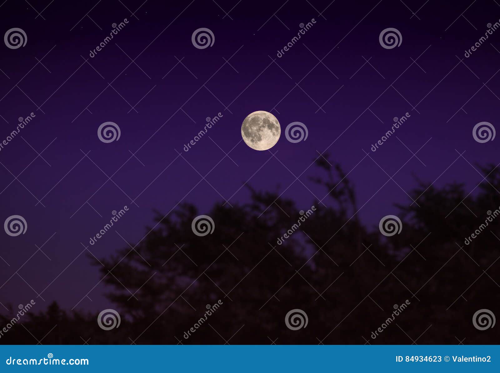 Moon over trees stock image. Image of wallpaper, moonlight - 84934623