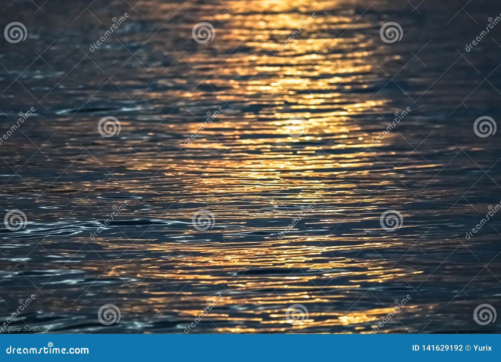 Path Of Reflection On The Sheet Format With A Wide Brush. Calligraphy ...