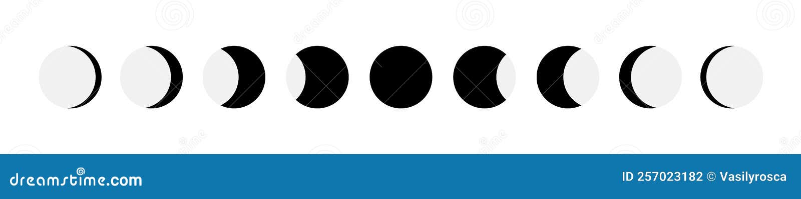 Moon Phase Vector Crescent Half Cycle Shape Illustration. Moon Phase ...