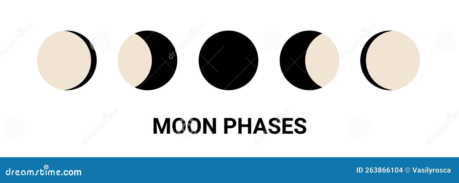 Moon Phase Vector Crescent Half Cycle Shape Illustration. Moon Phase ...