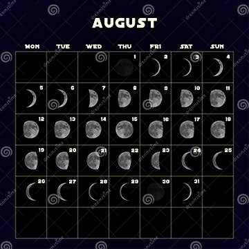 Moon Phases Calendar for 2019 with Realistic Moon. August. Vector ...