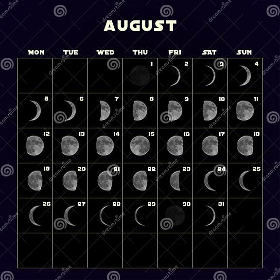 Moon Phases Calendar for 2019 with Realistic Moon. August. Vector ...