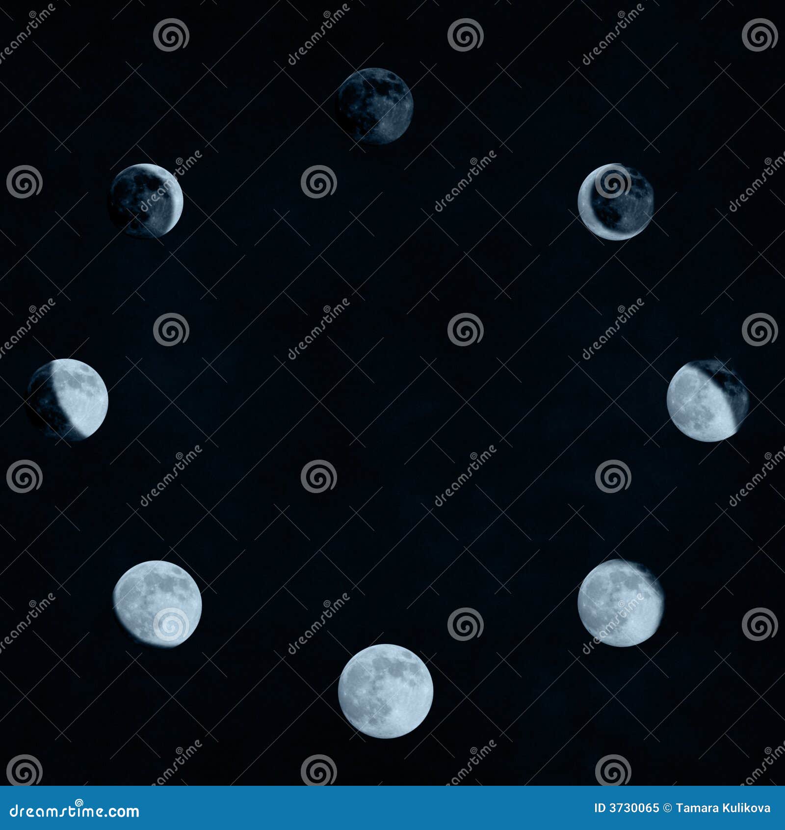 Moon Phases Collage Royalty-Free Illustration | CartoonDealer.com #3730065