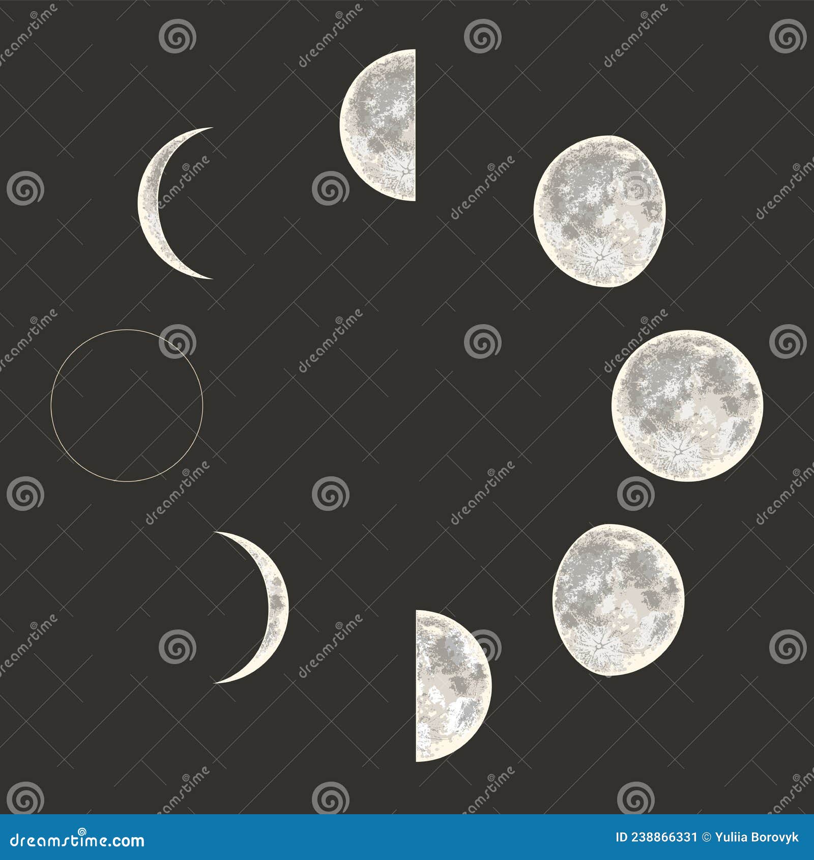 Moon Phases. Full Cycle. Realistic Style. Cartoon Vector ...