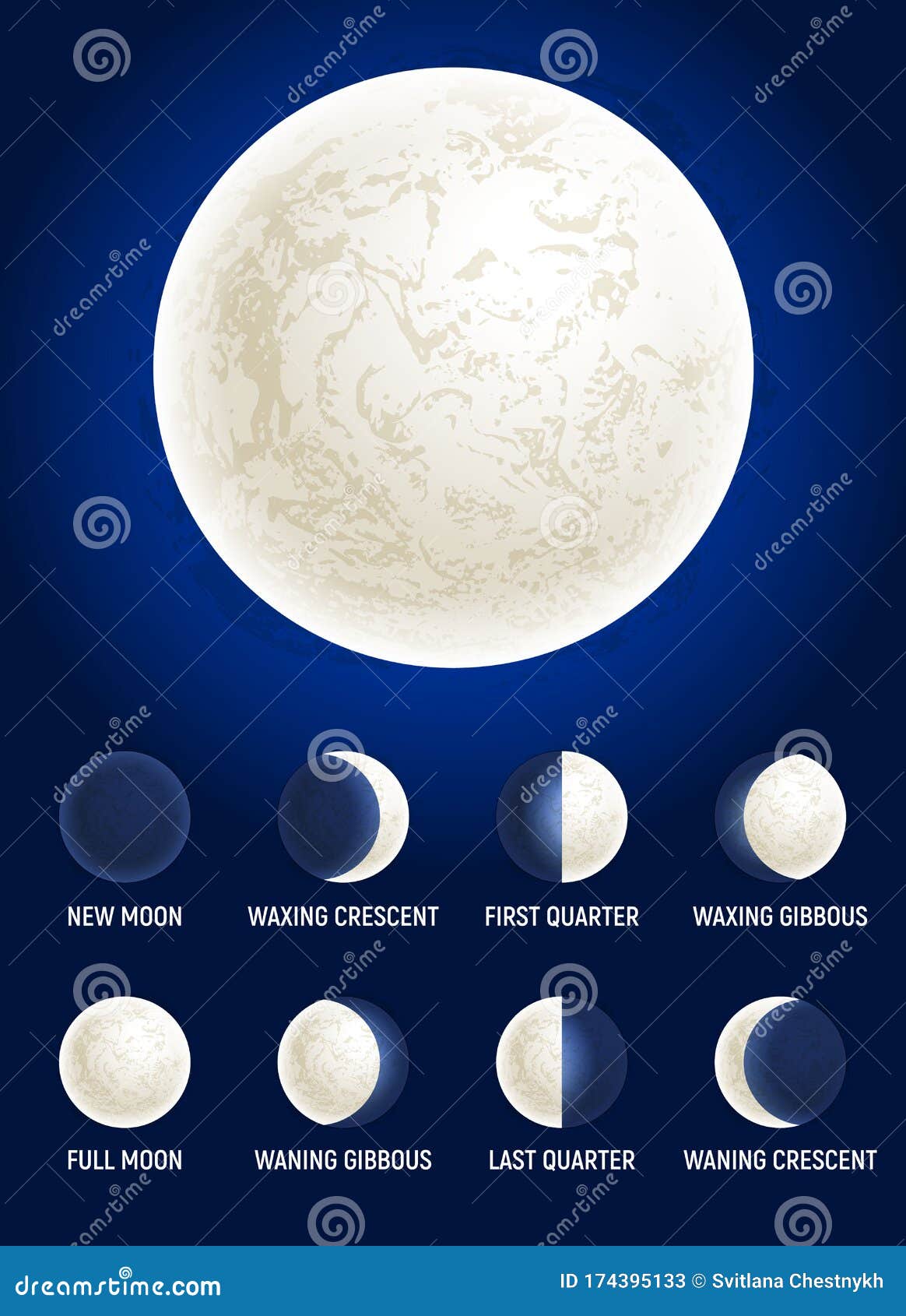 Illustration Of A Celestial Phoenix In Fire. Symbol Of Rebirth. Fenix ...