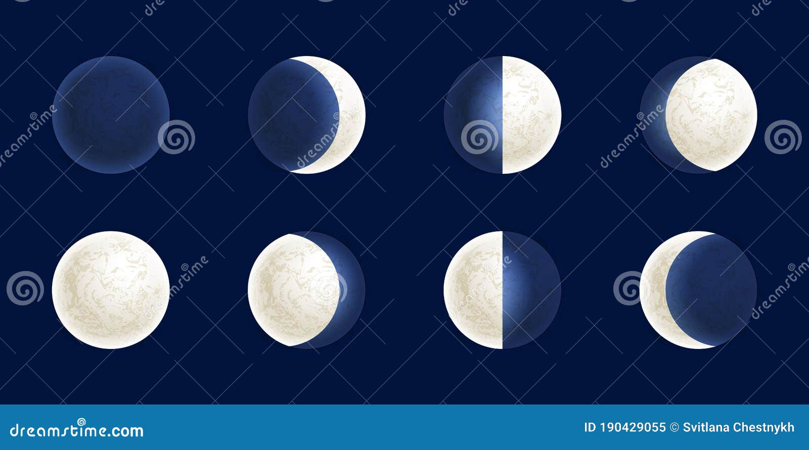 Illustration Of A Celestial Phoenix In Fire. Symbol Of Rebirth. Fenix ...