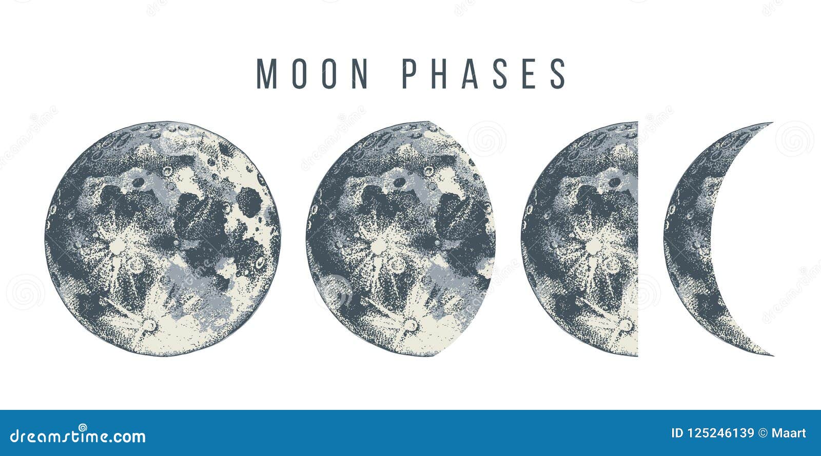 Moon phases illustration stock vector. Illustration of paint - 125246139
