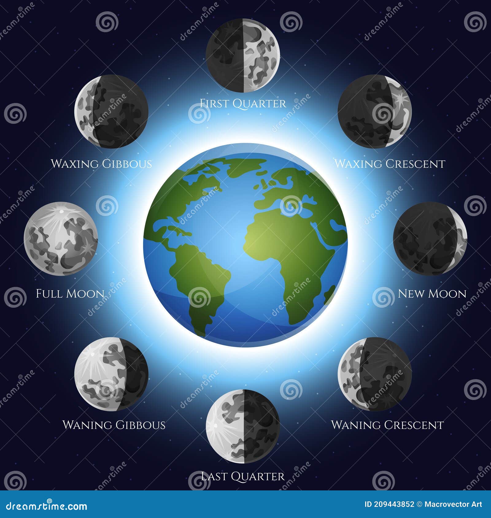 Globe Phases Cartoon Vector | CartoonDealer.com #4885417