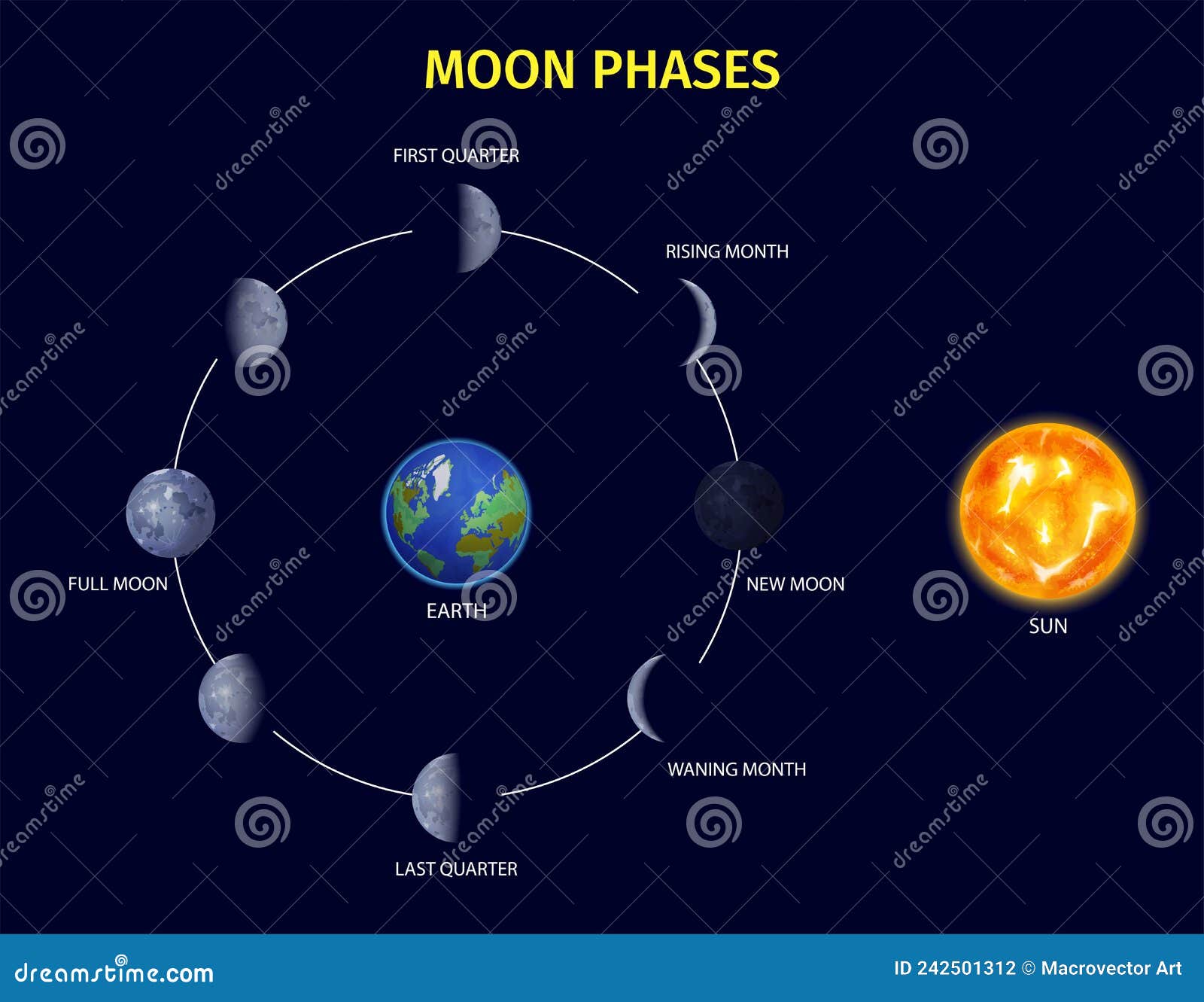 Moon Phases Infographic Set Stock Vector - Illustration of abstract ...