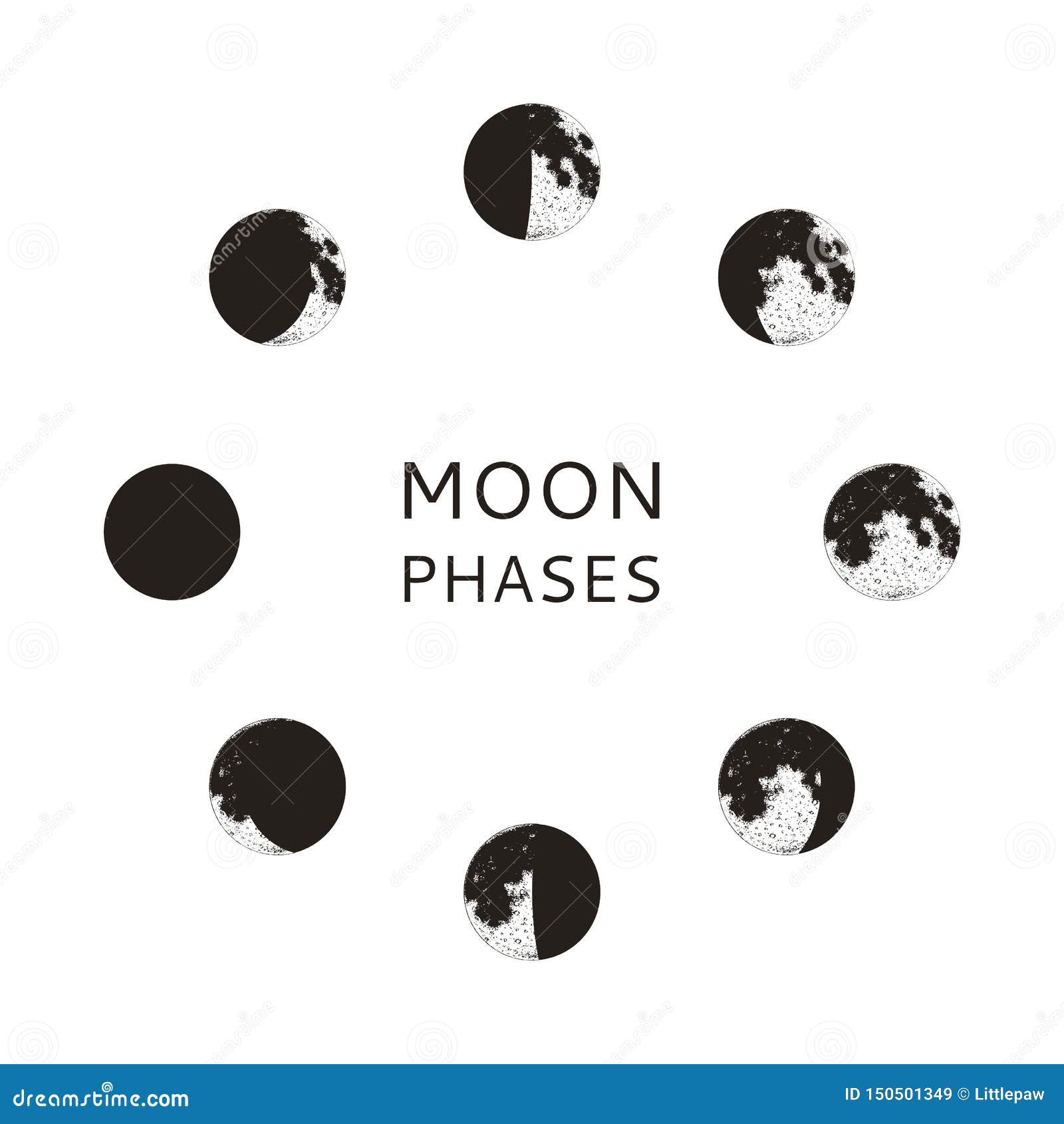 Moon Phases Set, Realistic Graphic Symbols, Vector Illustration Stock ...