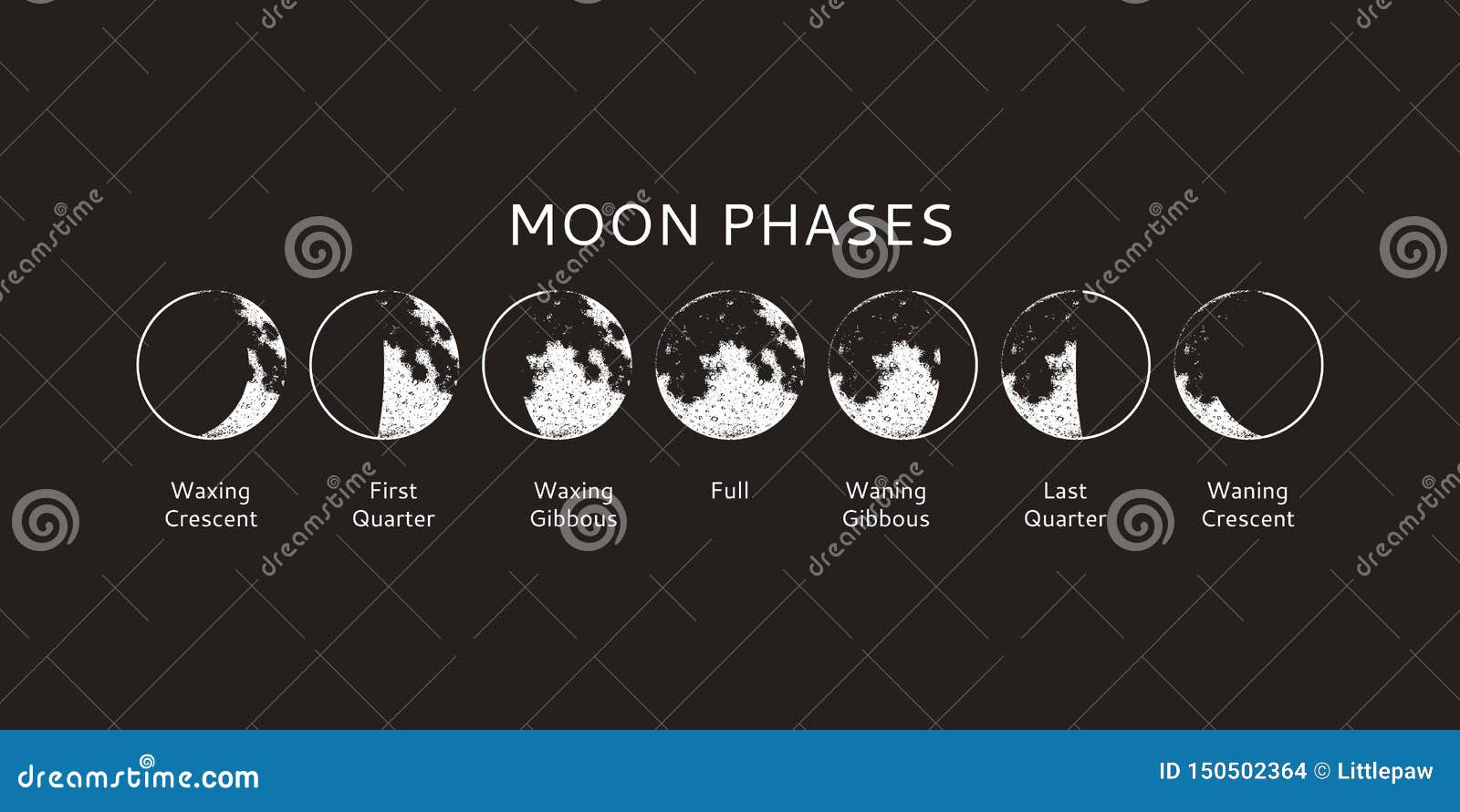 Moon Phases Set, Realistic Graphic Symbols, Vector Illustration Stock ...