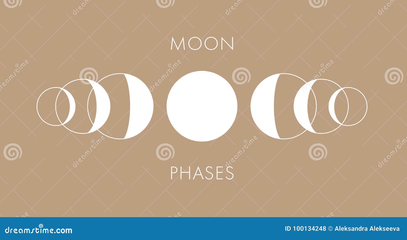 Moon And Sun Vector Logo, Boho Moonlight Line Art. Mystic Crescent Moon ...