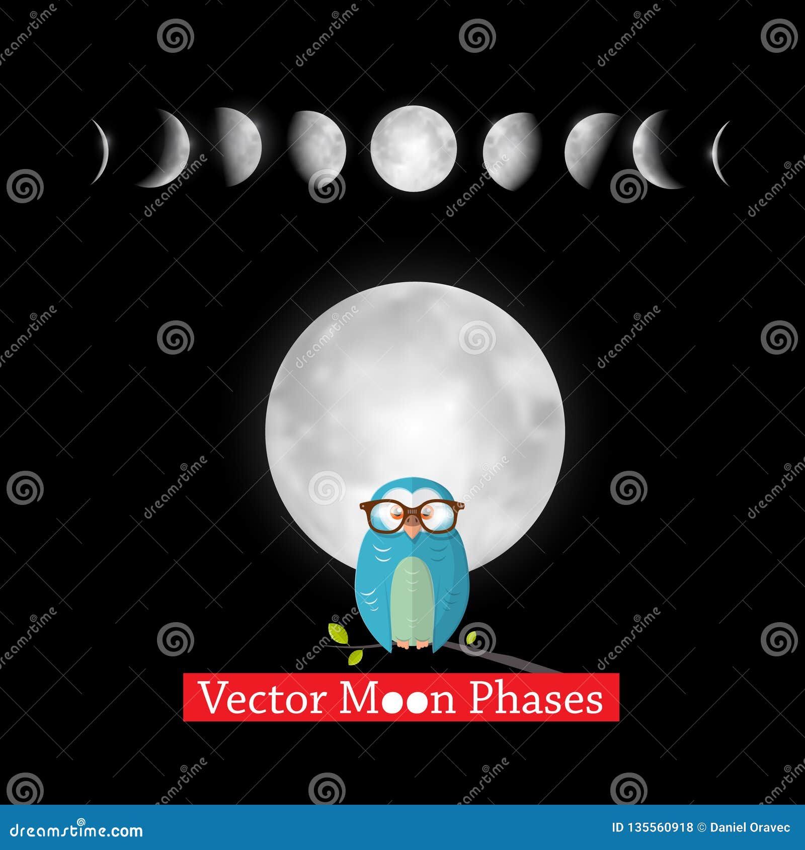 Moon Phases Vector Design with Owl Stock Vector - Illustration of ghost ...