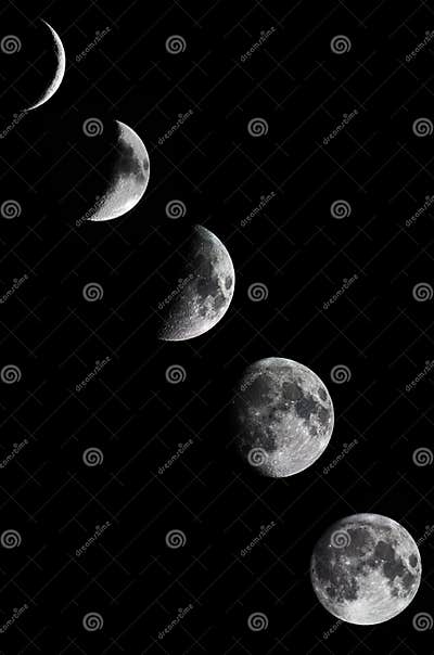Moon phases vertical stock photo. Image of planet, text - 233604262