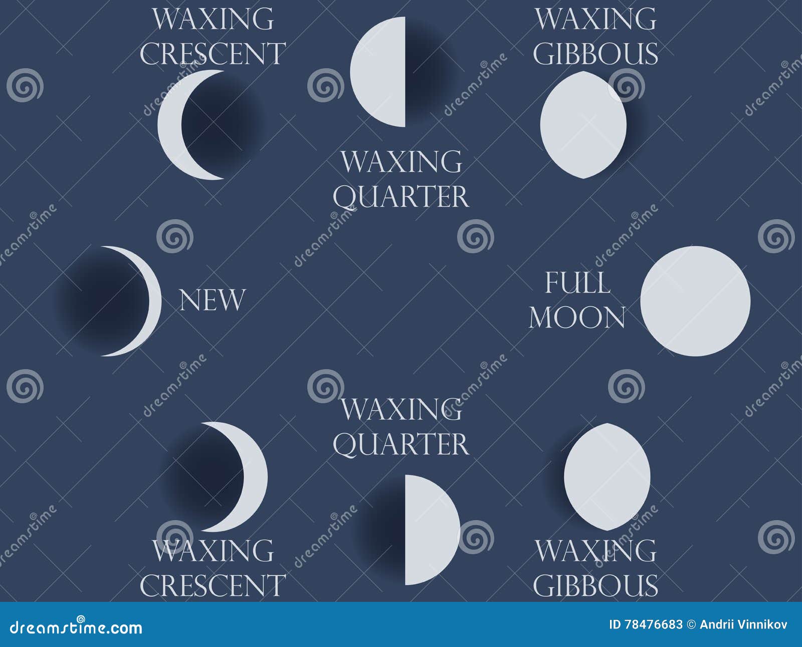 Moon Phases. the Whole Cycle from New Moon To Full Stock Vector ...