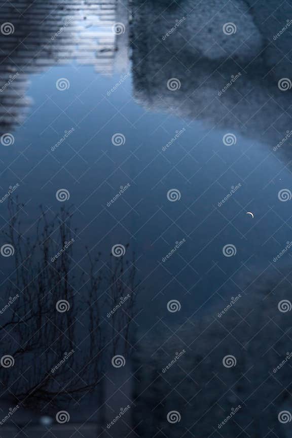 Moon in the puddle stock photo. Image of freezing, wave - 275225552