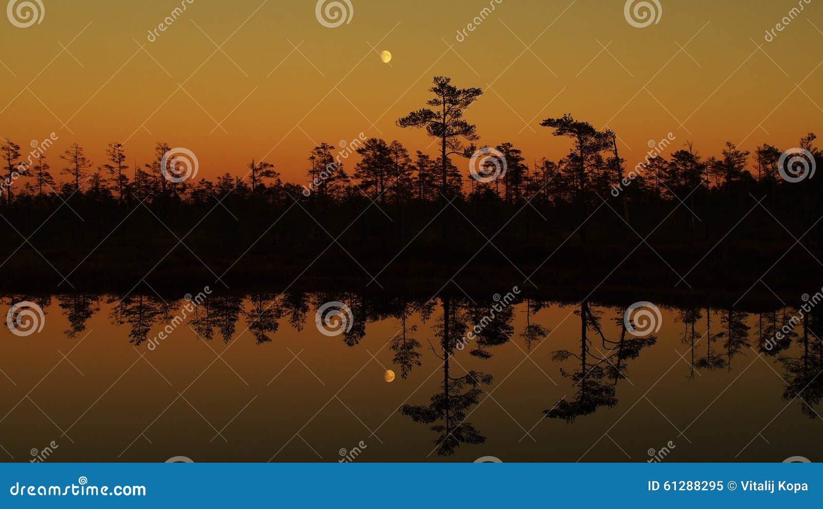 Sunset Moon Rise Over Forest and Orange Sky Stock Image - Image of ...