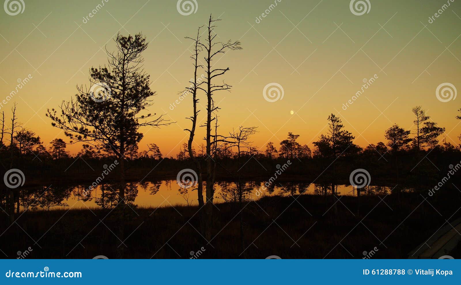 Sunset over forest lake stock photo. Image of observation - 61288788