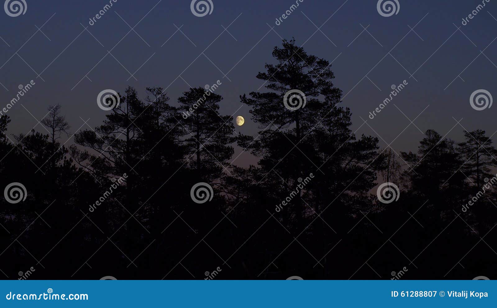 Moon on Night Sky and Forest Stock Image - Image of moon, rise: 61288807