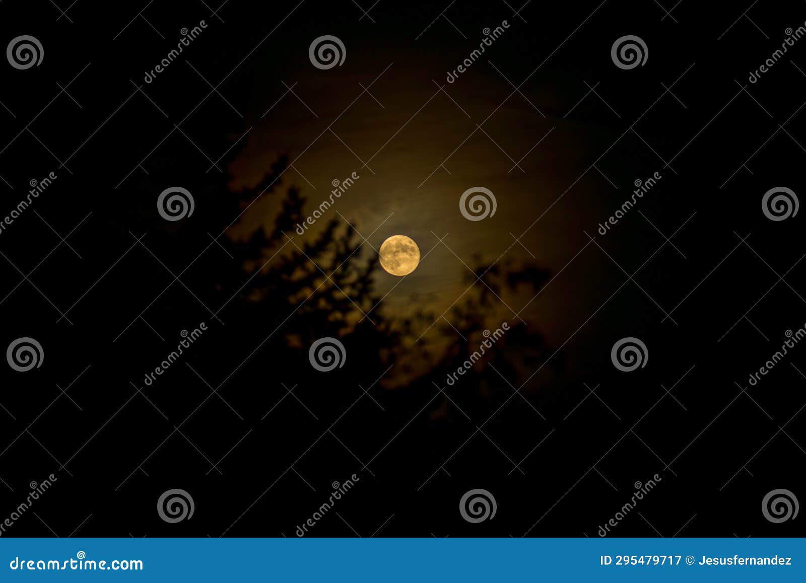 Moon rising behind trees stock image. Image of astrology - 295479717