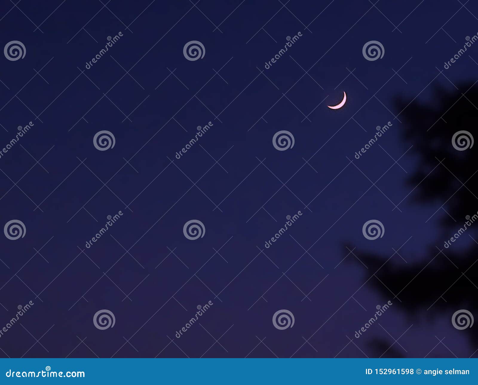 Moon Rising during Blue Hour Stock Photo - Image of hour, quarter ...