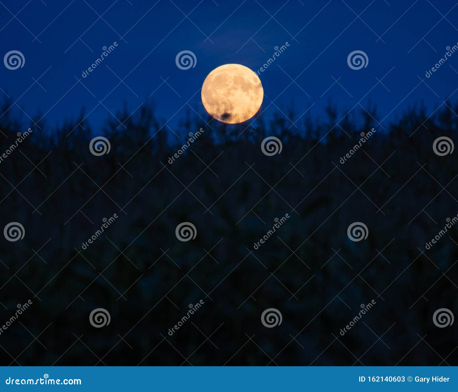 The Moon Rising Over a Corn Field Stock Image - Image of moons, field ...