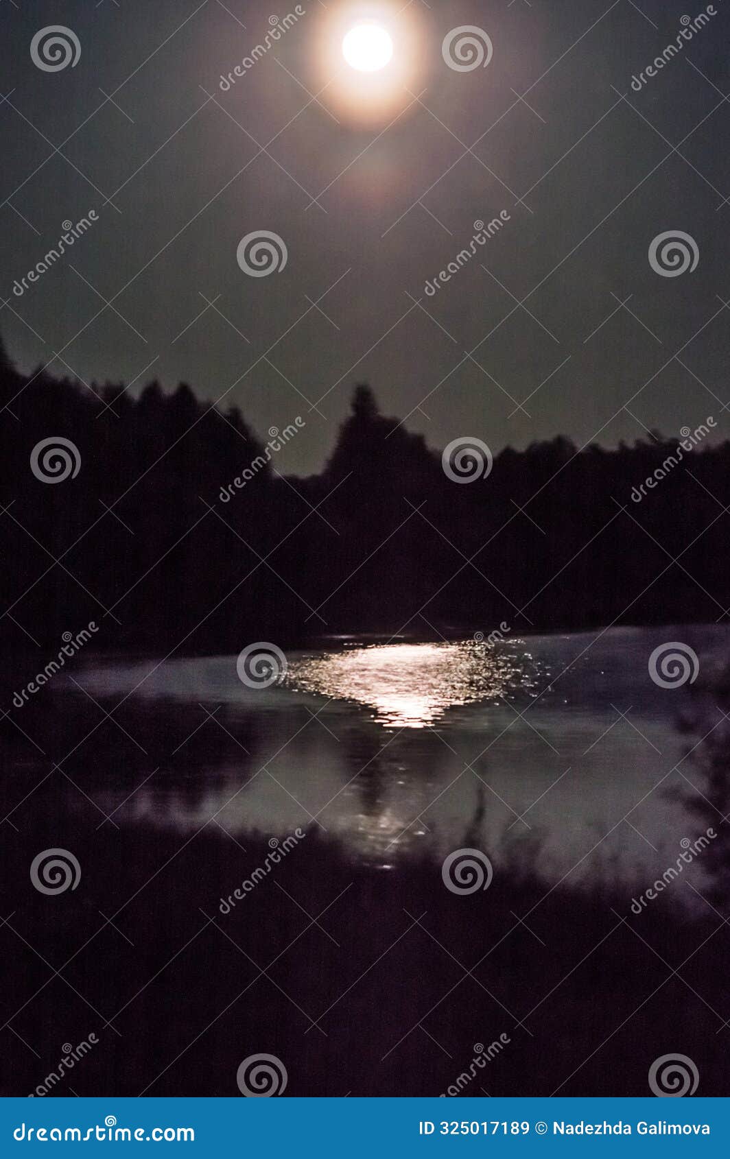 Moon Rising Over the Lake in the Forest. Reflection in Water Stock ...