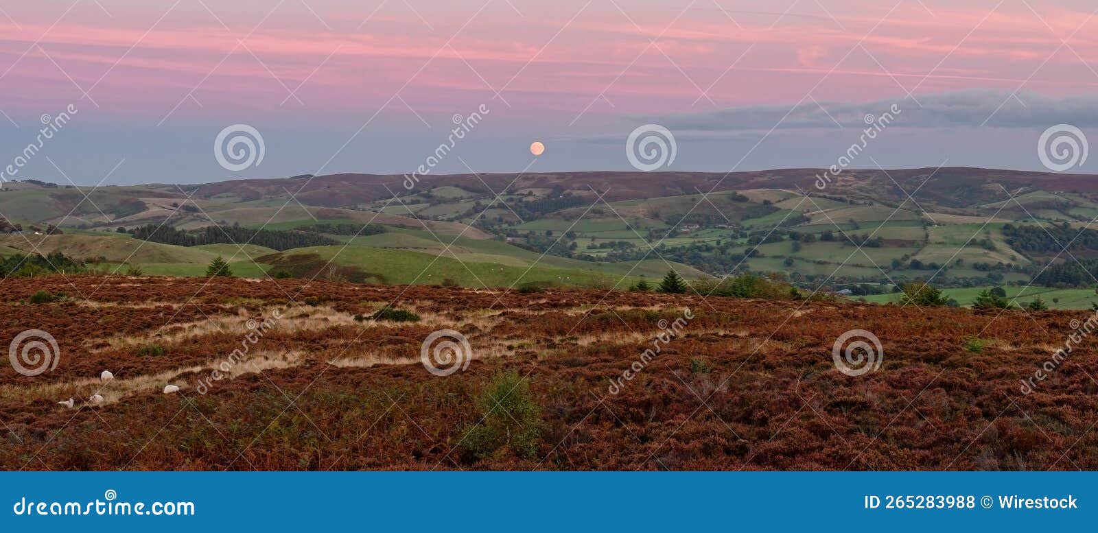 Moon Rising Over the Long Mynd, Shropshire, England Stock Photo - Image ...