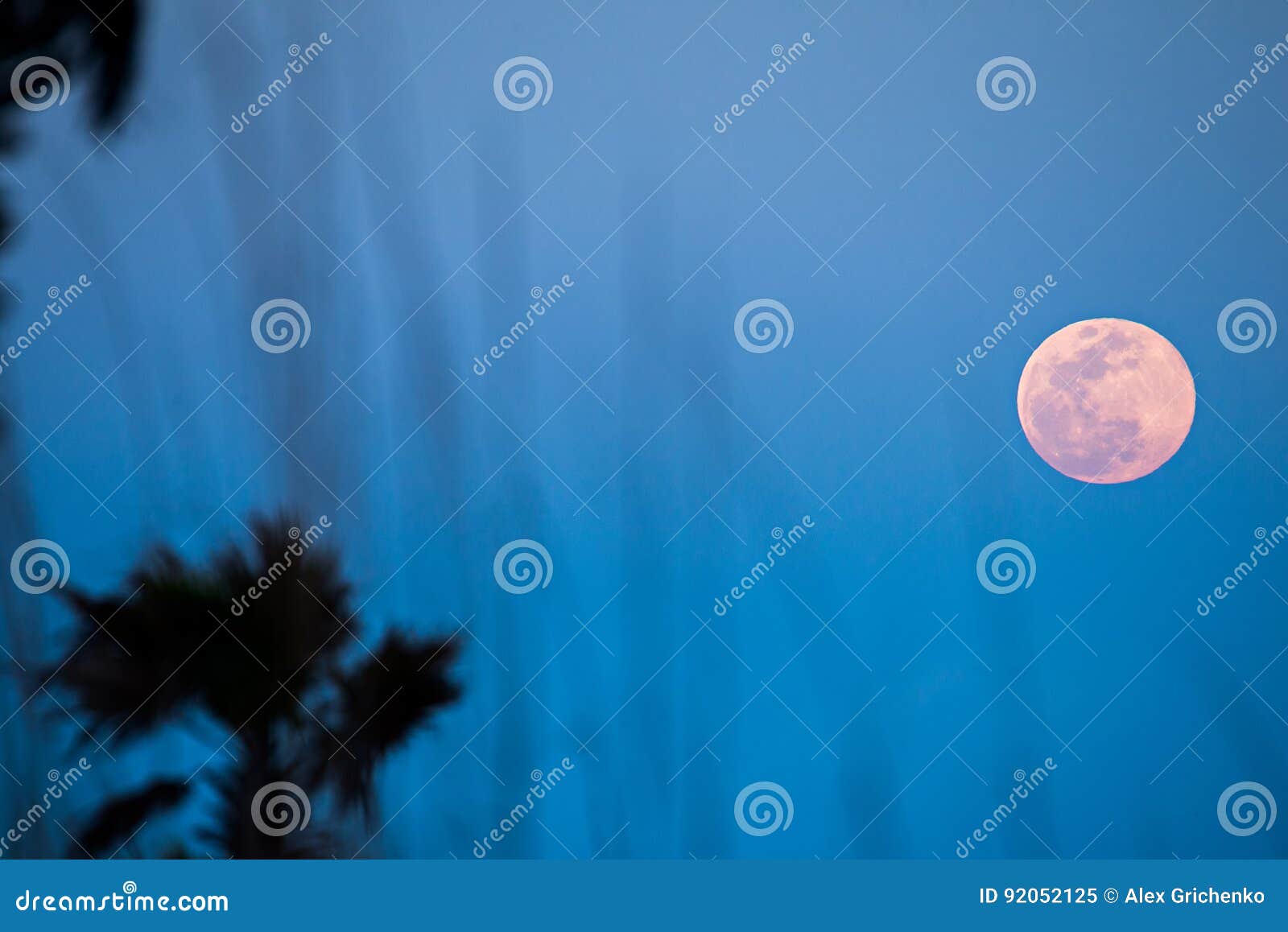 Moon Rising Over Palm Trees at the Beach Stock Image - Image of palm ...