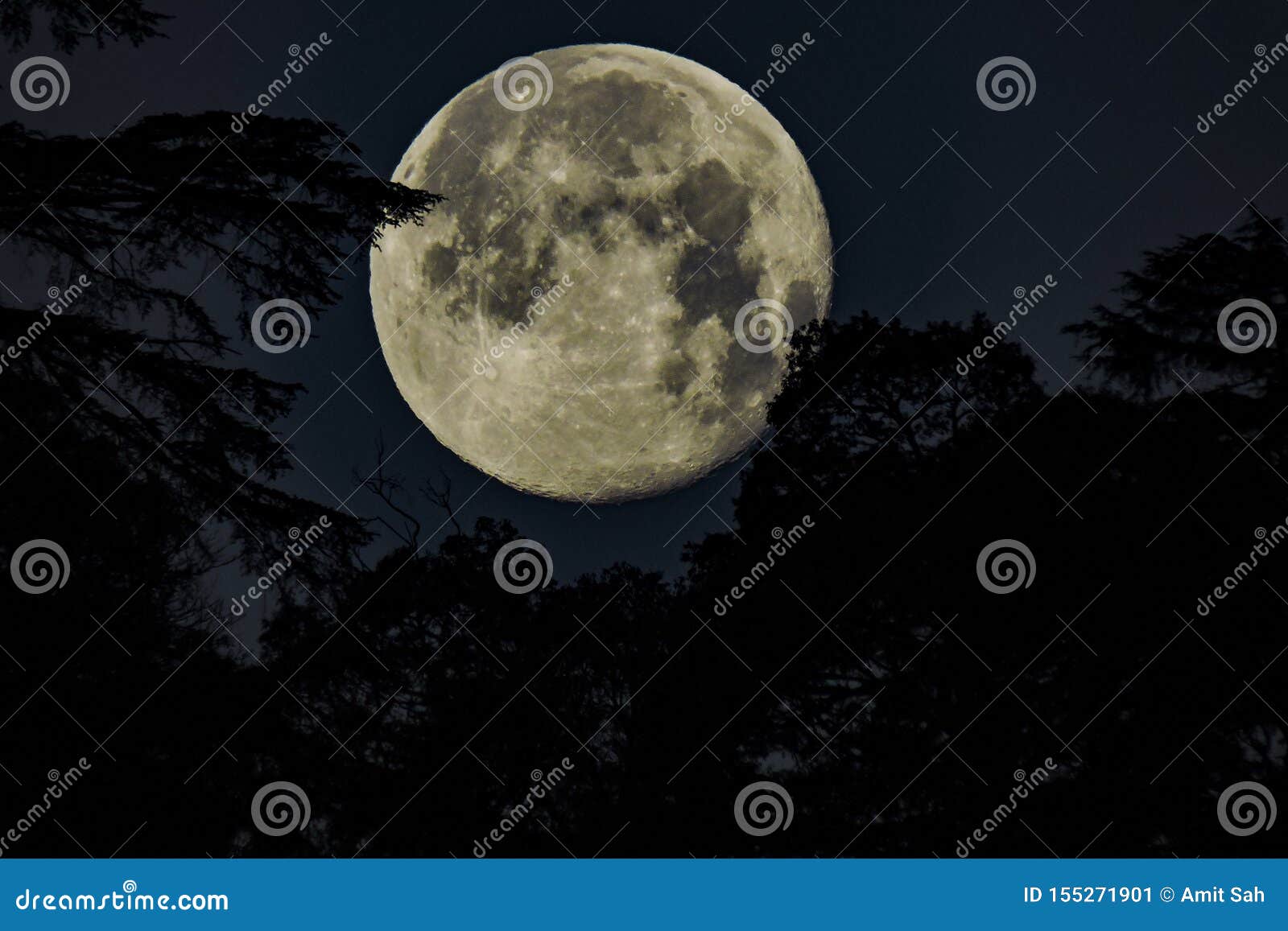 The moon set stock image. Image of nikon, moon, nature - 155271901