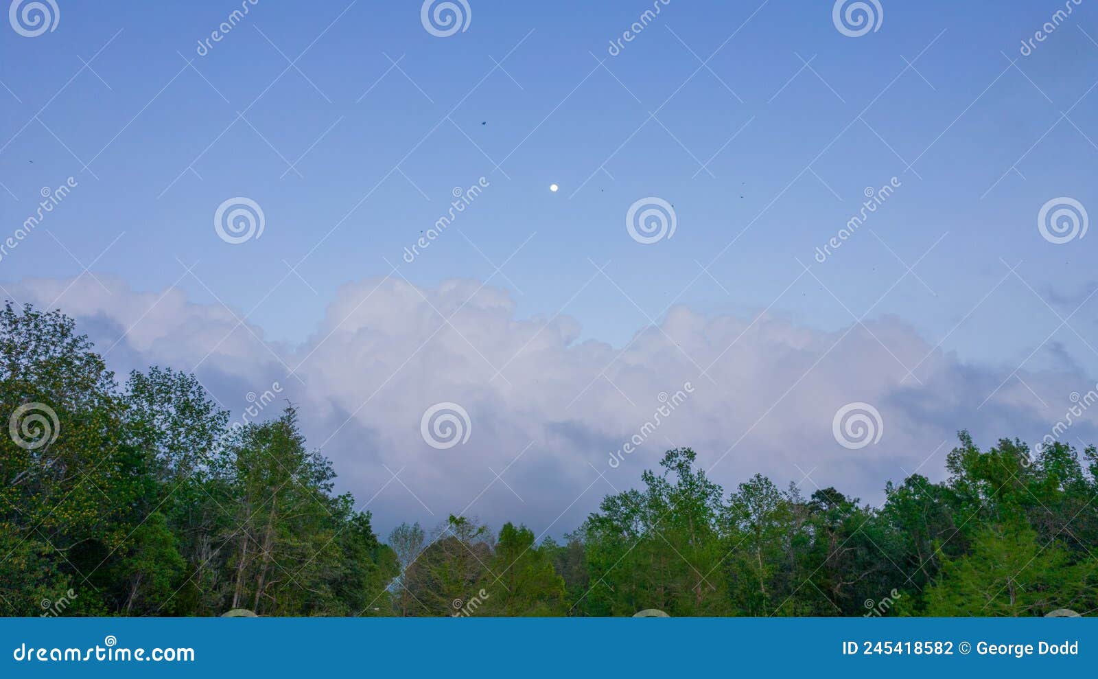 The Moon Shines Bright at Dusk in Daphne, Alabama Stock Photo - Image ...
