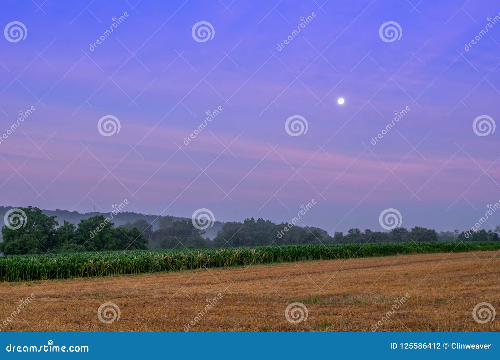 Moon in the Sky Above Fields Stock Photo - Image of cornfield, farming ...