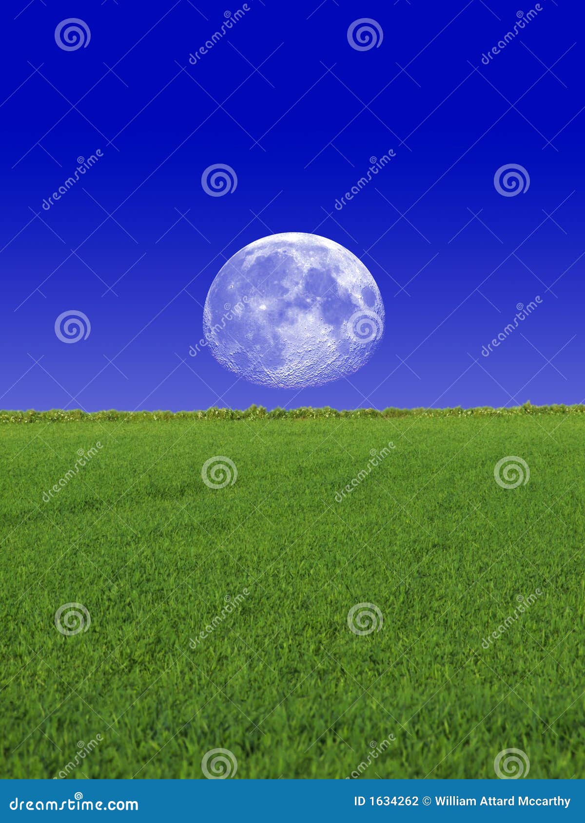 Moon & Sky & Grass stock photo. Image of pasture - 1634262