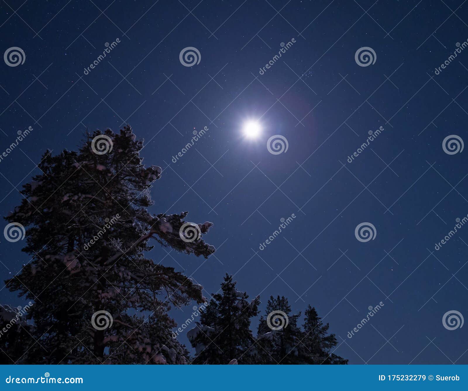 Moon and Snow on Tree stock image. Image of finland - 175232279