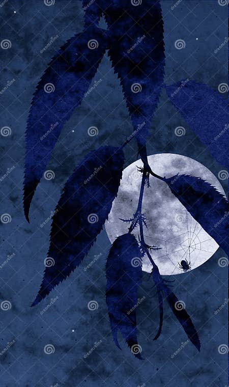 Moon spider collage stock illustration. Illustration of full - 2099647