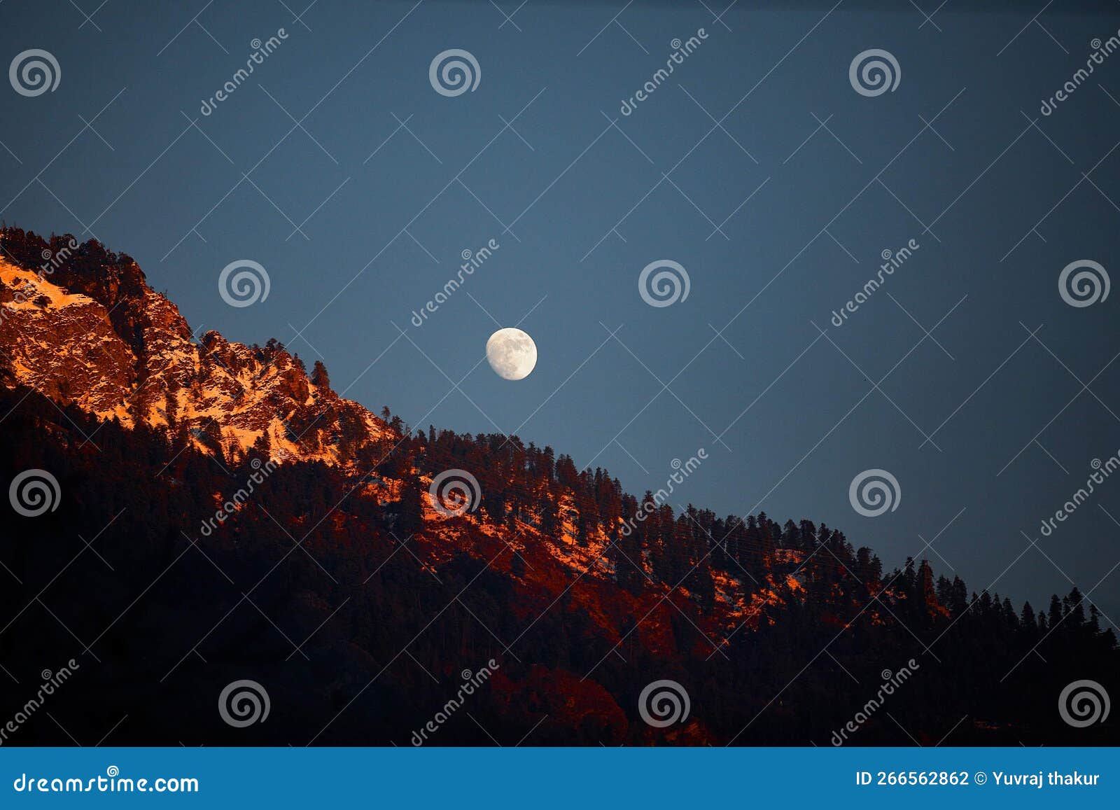 Moon Sunlight Mountain Tree Stock Photo - Image of light, screenshot ...