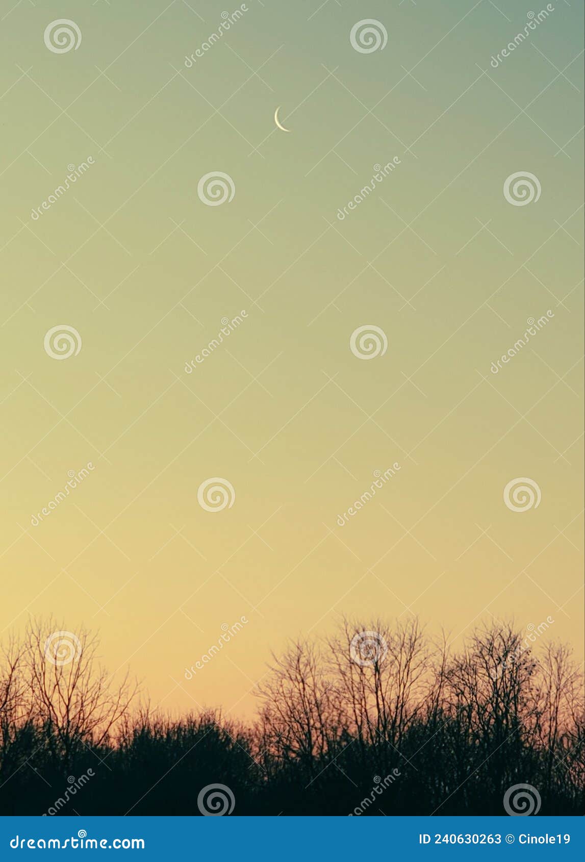 Moon during sunrise stock image. Image of evening, sunrise - 240630263