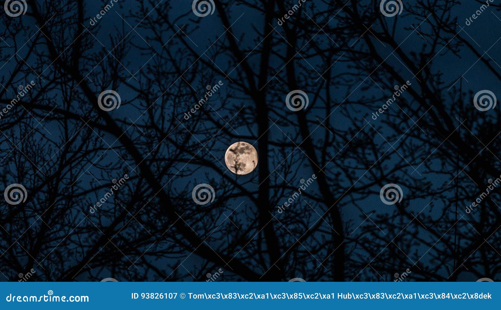 The moon stock image. Image of night, yellow, trees, black - 93826107