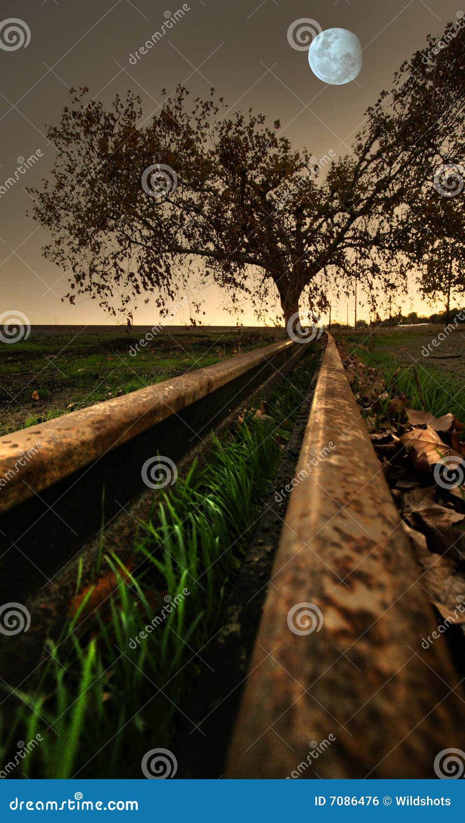 Moon Tracks stock photo. Image of scene, nature, dawn - 7086476