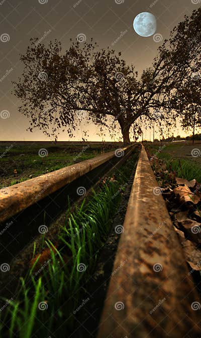 Moon Tracks stock photo. Image of scene, nature, dawn - 7086476