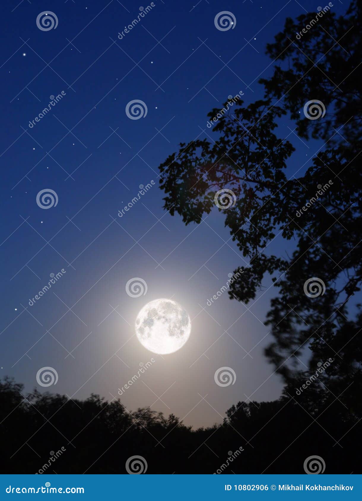 Moon and tree stock photo. Image of nature, scenics, horizon - 10802906