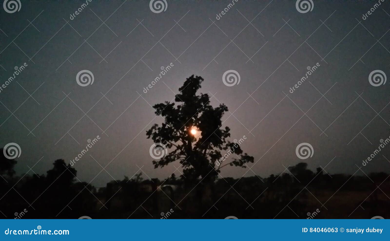 Moon stock image. Image of land, tree, moon, nature - 84046063