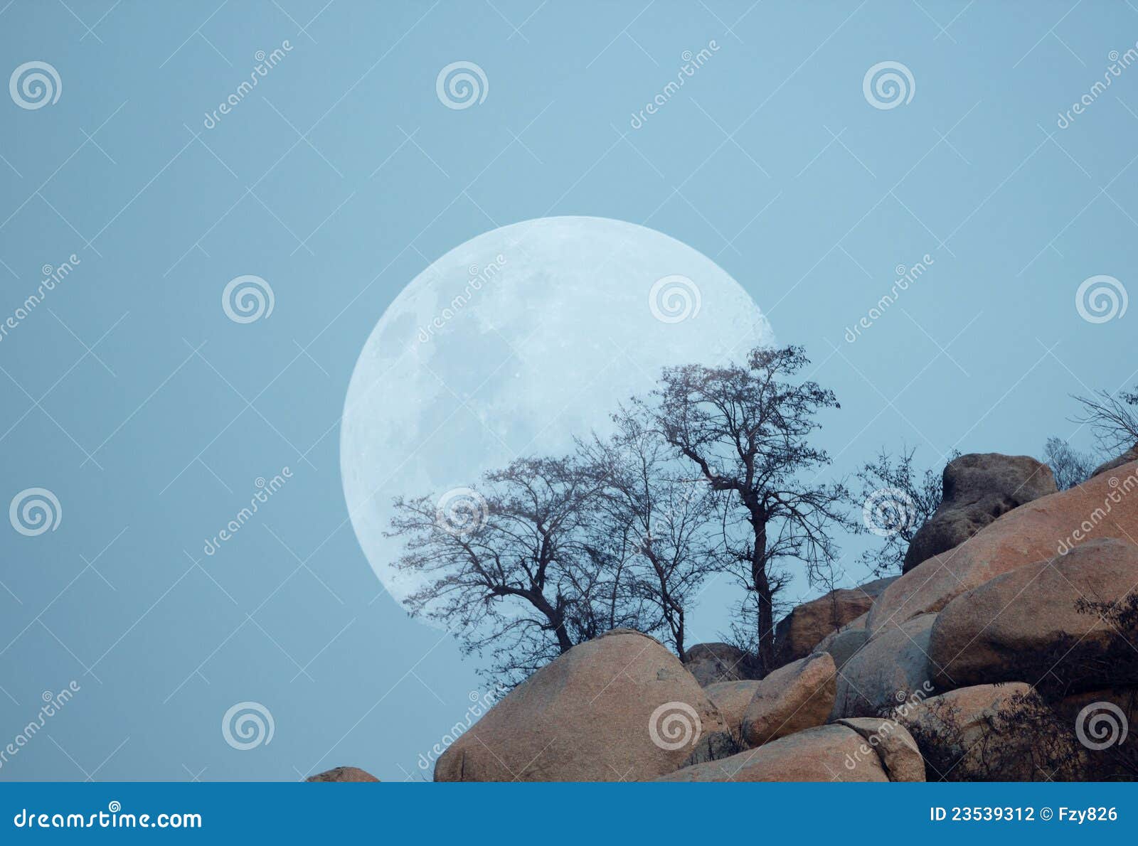 Moon and trees stock photo. Image of panorama, landscape - 23539312